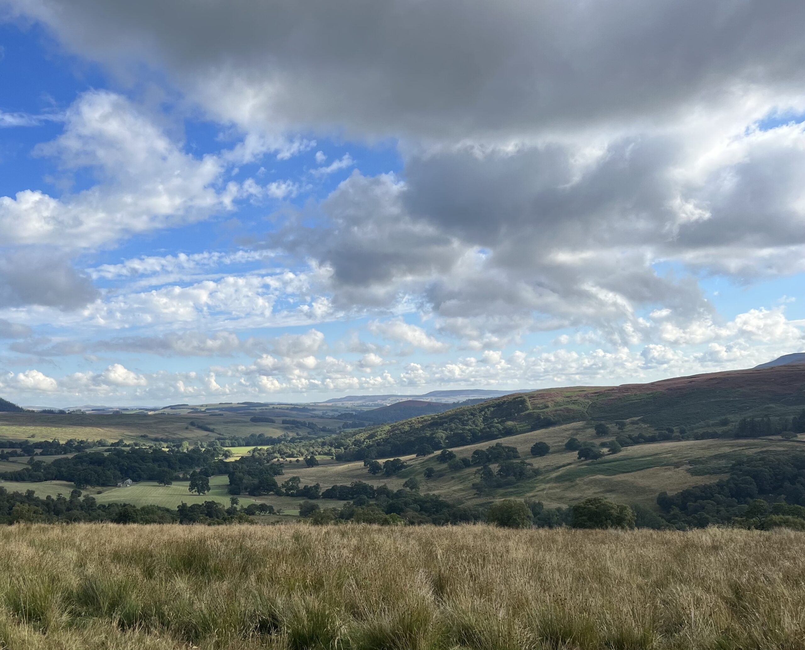 History - Beeswing Lodge